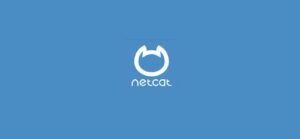 Top 10 Most Commonly Used Netcat Commands - Tech Hyme