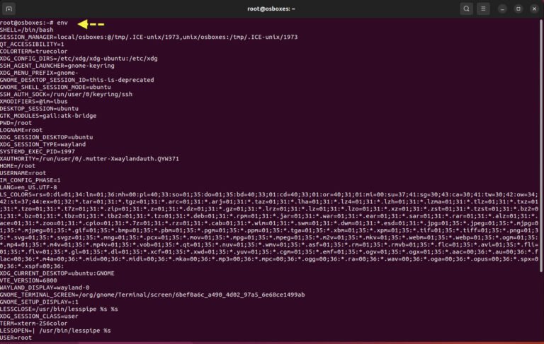 Bash Basics: Understanding the Fundamentals of the Bash Shell - Tech Hyme