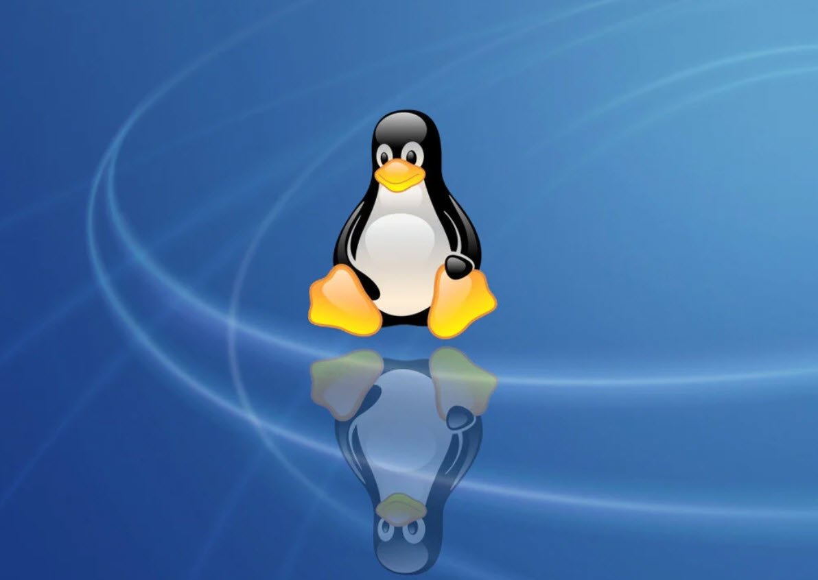 Understanding Common File Permissions in Linux - Tech Hyme Understanding Common File Permissions in Linux - Tech Hyme